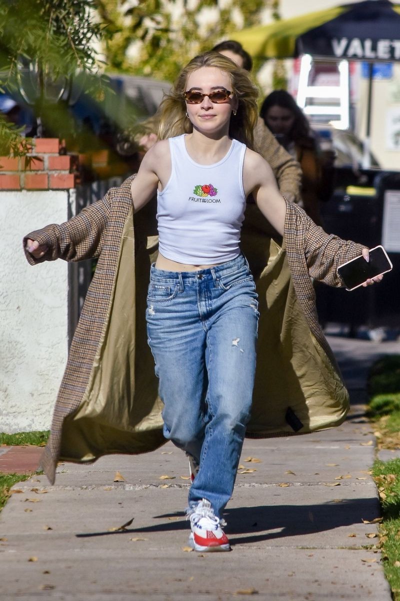 Sabrina Carpenter Nip Slip Telegraph